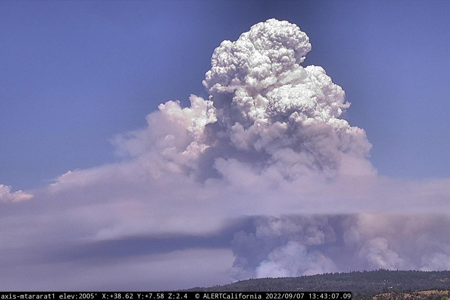 Mosquito Fire – The Growling Wolverine Mosquito Fire – The Growling Wolverine